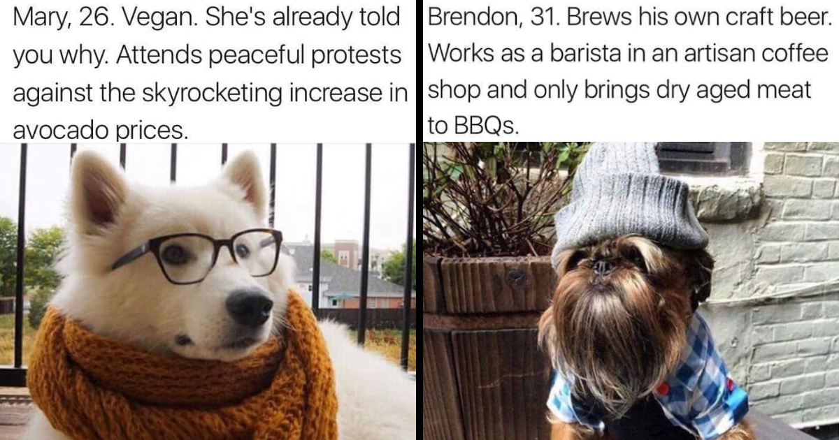 Doggos With Dating App Profiles That Prove That Puppos Have More ...