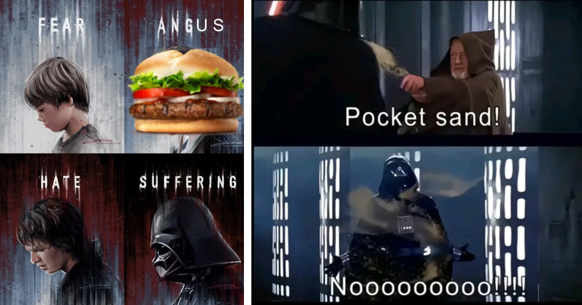 These 21 Star Wars Memes Are Strong With the Force - Geek Universe ...