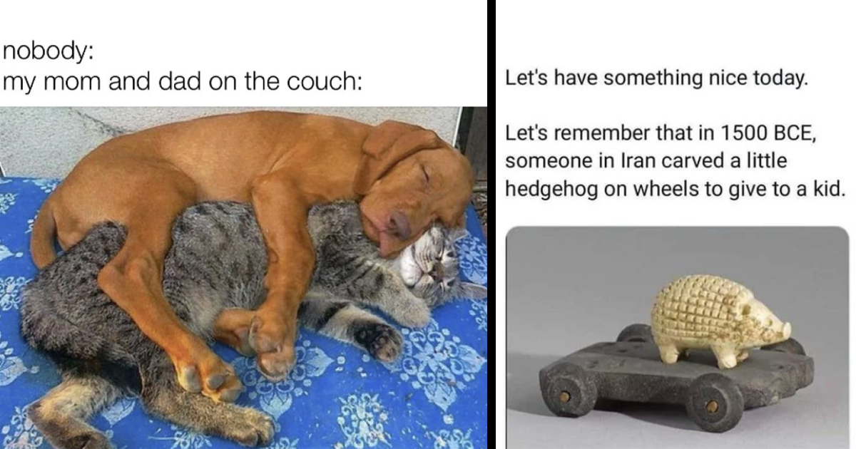 The Best Heartwarmingly Wholesome Memes and Posts of the Week (April 20 ...