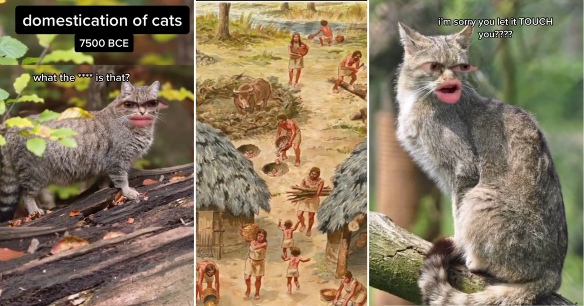 Cheezburger - ancient - I Can Has Cheezburger | Failblog | Memebase ...