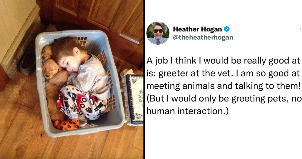 30+ Wholesome Animal Pics And Memes To Start The Weekend With A ...