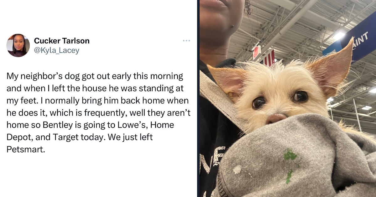 Wholesome: Escaped Dog Goes on a Shopping Spree With Big-Hearted ...
