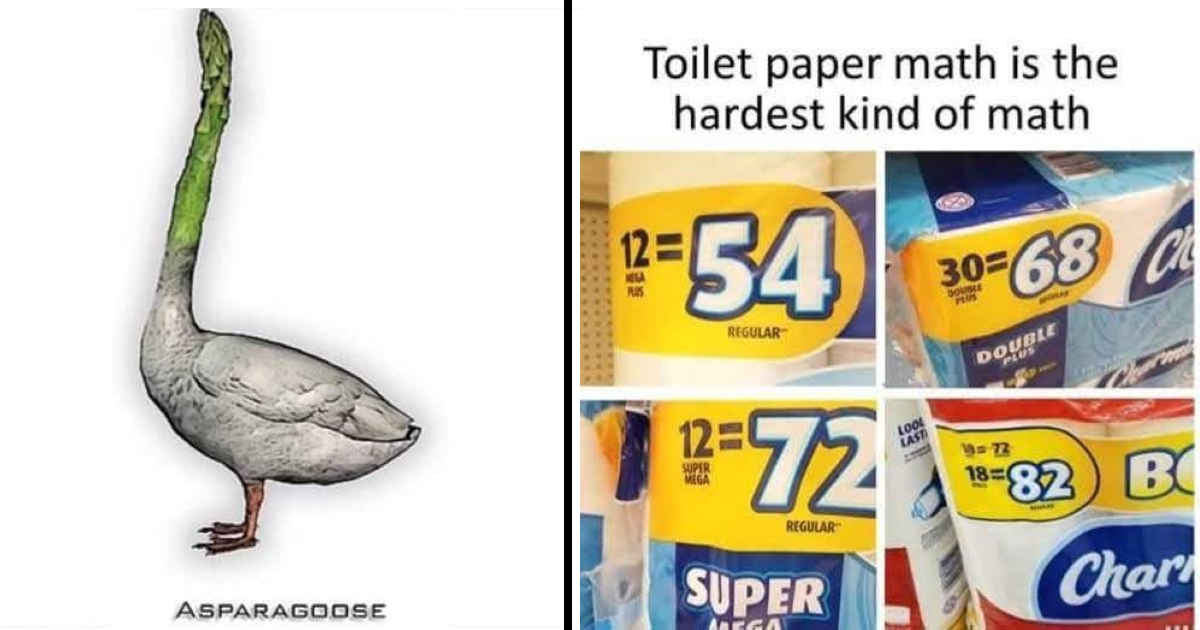 A Herd of Memes All Shepherded Together - Memebase - Funny Memes