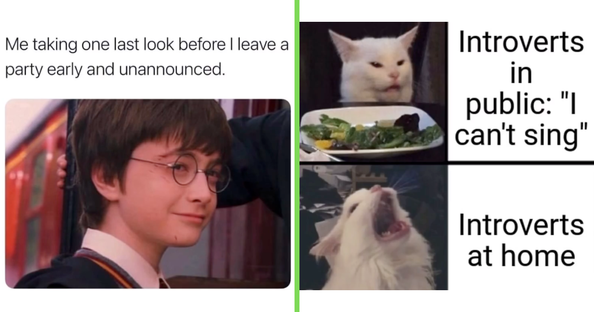 Witty Introvert Memes for Awkward Outsiders Who Always Leave the Party ...