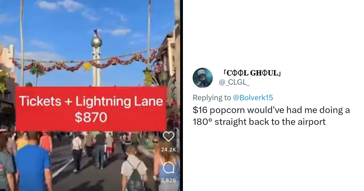 Disney Family Get Roasted For Eye-Wateringly Expensive Trip to Walt ...