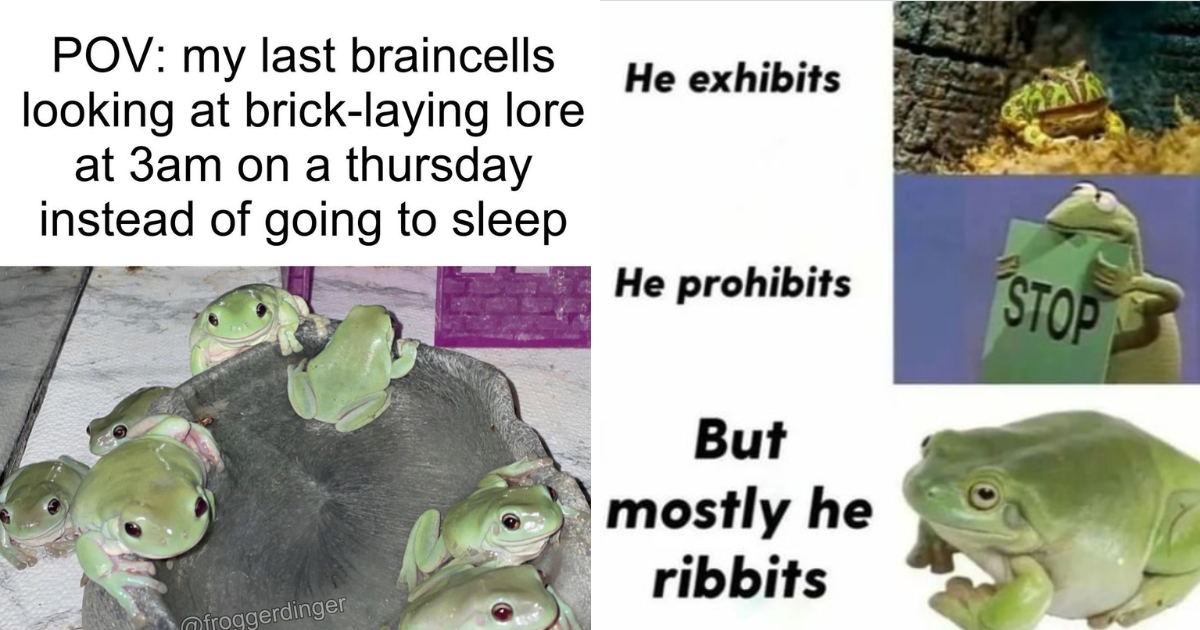 16 Toad-Ally Frog-Tastic Amphibian Memes For A Hoppin' Good Time ...