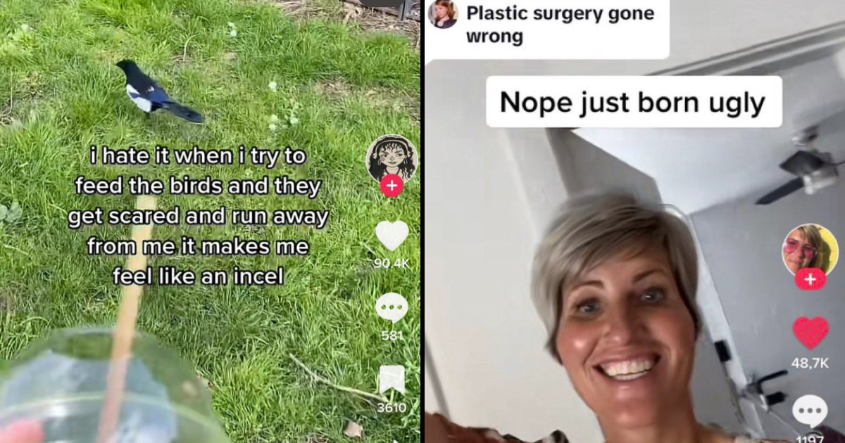 The Most Questionable Takes From TikTok This Week (May 2, 2023 ...