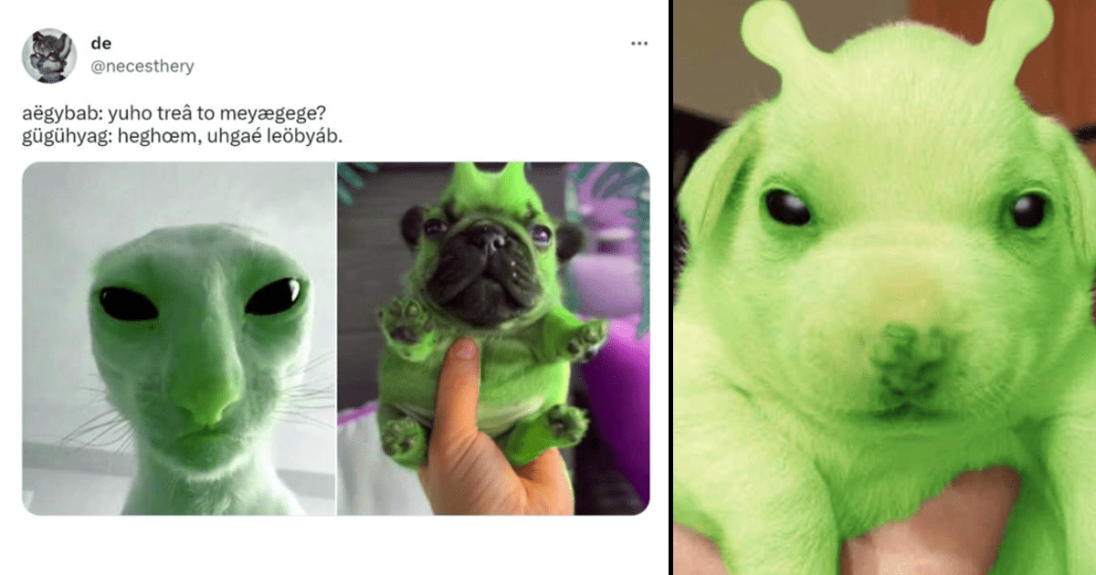 Memebase Alienposting All Your Memes In Our Base Funny Memes