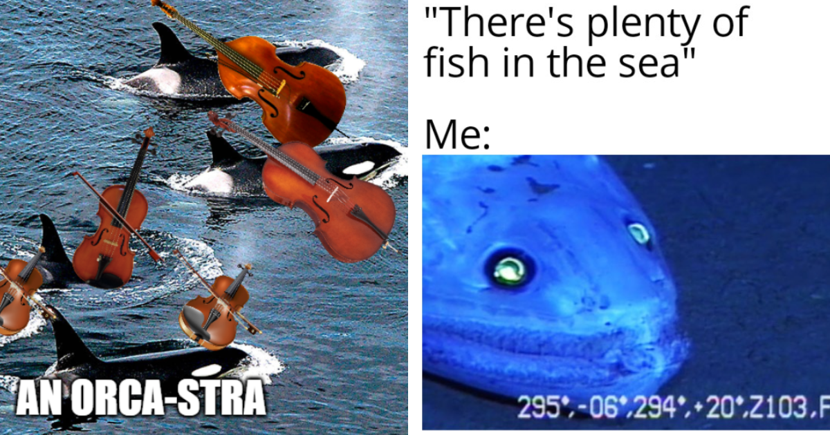 Ocean Sea Creatures Memes