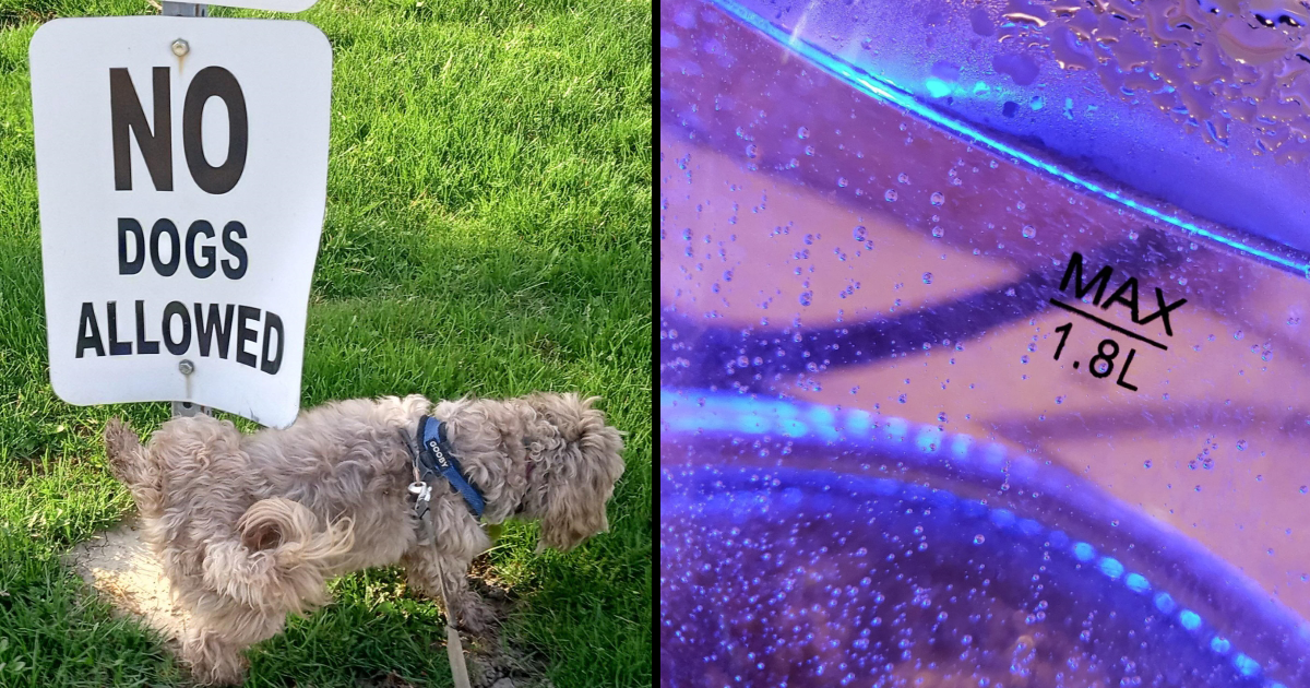 Memebase - First World Problems - All Your Memes In Our Base - Funny ...