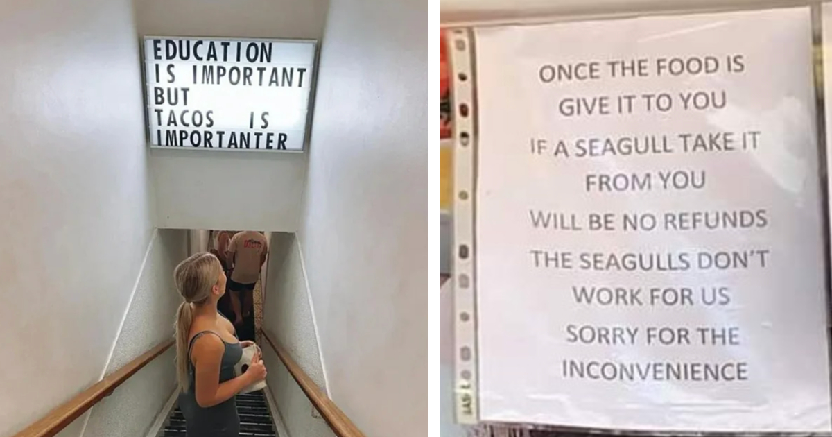 20 Laugh out loud funny signs from people who were brutally honest ...