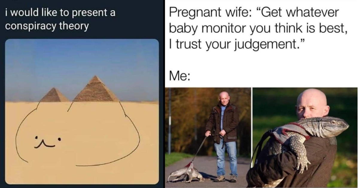 30+ Zany and Zesty Animal Memes For All The Animal Lovers With A Quirky ...