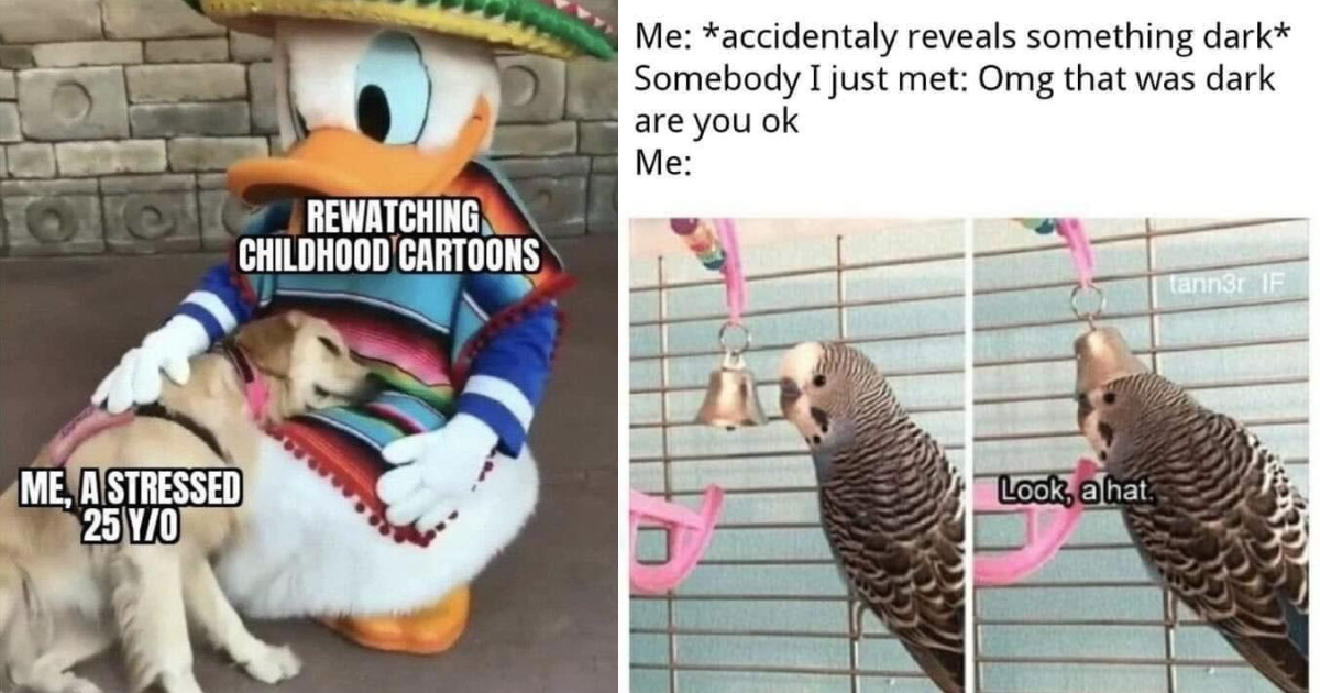 30 Funniest Animal Memes For People Too Old For TikTok - Animal Comedy ...