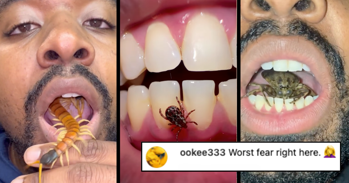 Bug Enthusiast Puts Insects in His Mouth (Wasps, Bees, Scorpions, and ...