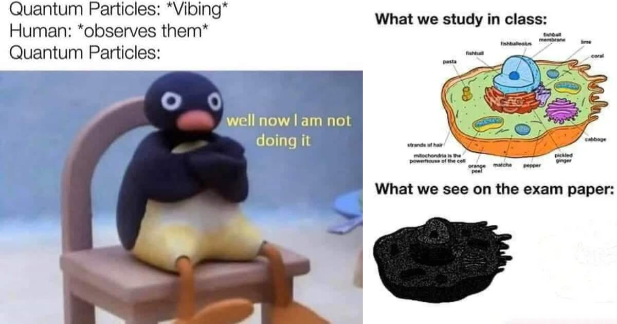 Humorous Hypotheses: 19 Memes That Prove Science is a Laughing Matter ...