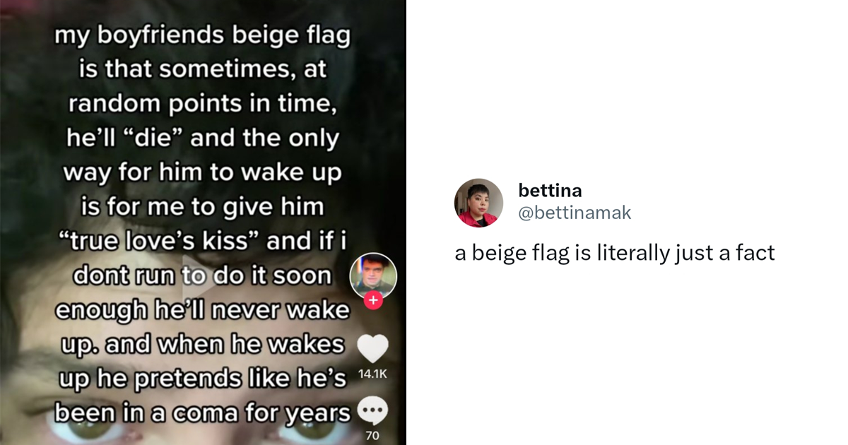 Explain Like I'm 35: What is a Beige Flag? (May 28, 2023) - Memebase ...