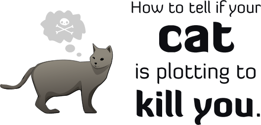 How To Tell If Your Cat Is Plotting To Kill You - I Can Has Cheezburger?