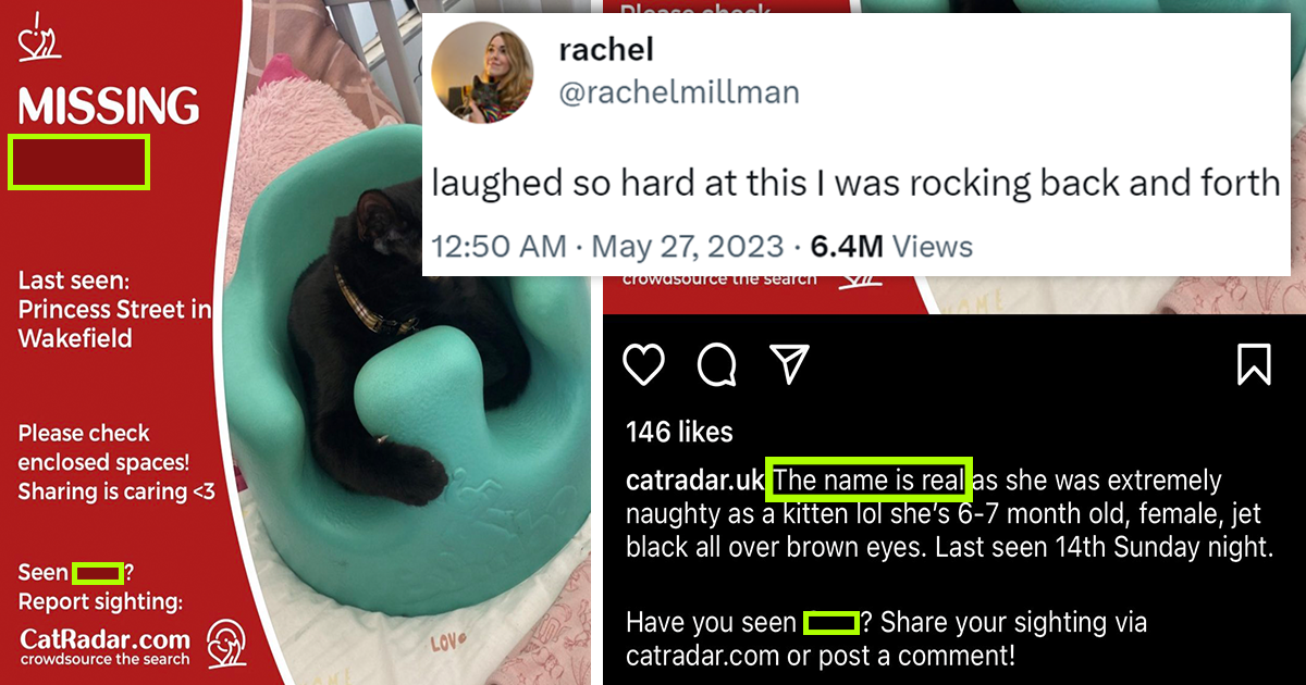 Missing Poster Of A Cat With A Hilariously Inappropriate Name Goes ...