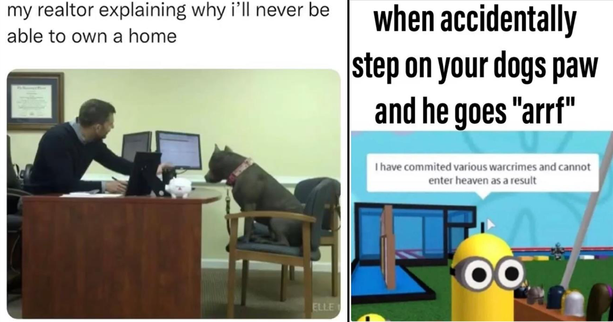 A Spiffing Arrangement of Different Memes - Memebase - Funny Memes