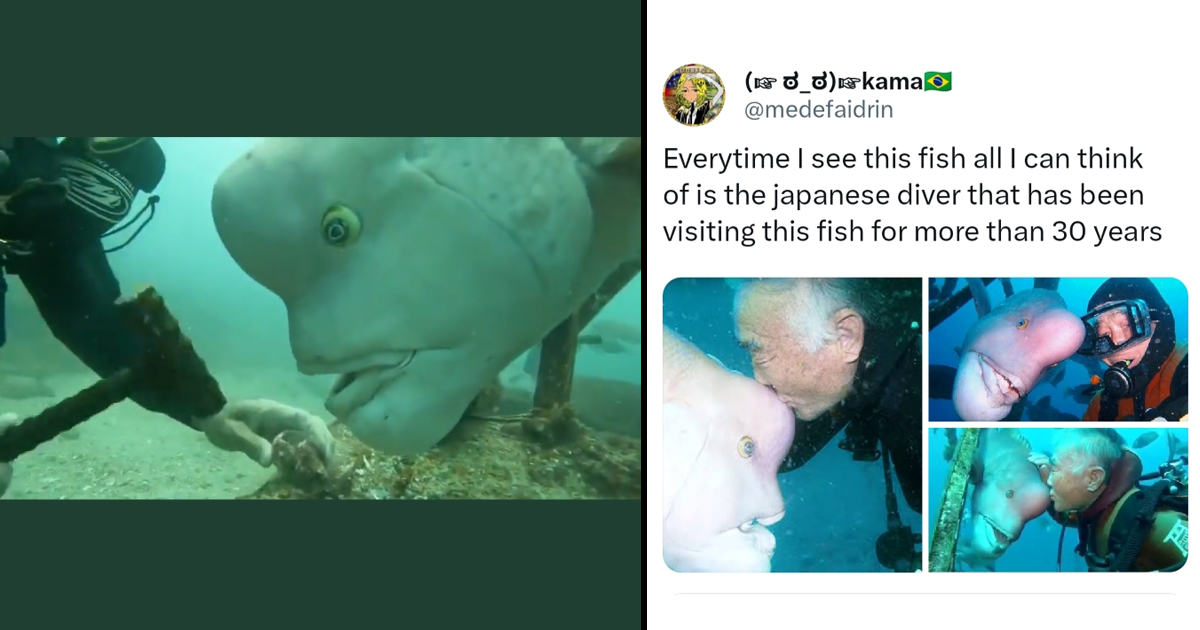 'These buddy cop movies just keep getting weirder': Twitter Reacts to ...