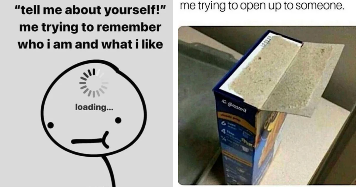 30+ Self-Deprecating Memes for People Who Don’t Do ‘Society’ - Geek ...