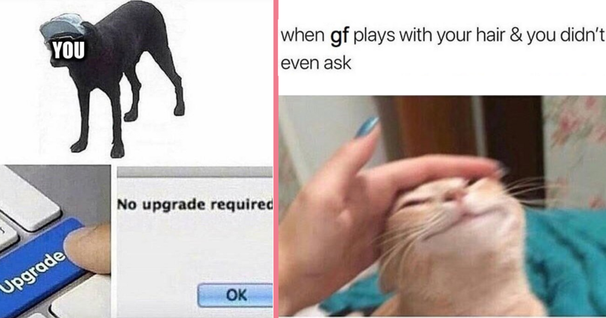 28 Long-Term Relationship Memes for Couples With a Wholesome Kink - CheezCake - Parenting ...