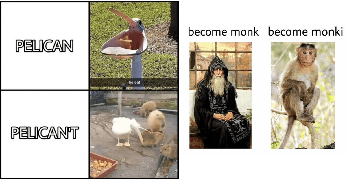 An Assorted Slop of Different Memes - Memebase - Funny Memes