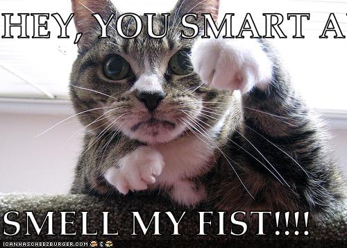 Lolcat High Five