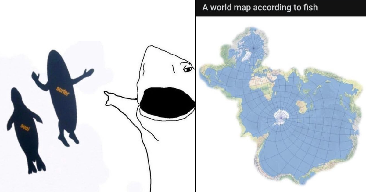 Funniest Marine Biology Memes About All Things Ocean Related - Memebase - Funny Memes