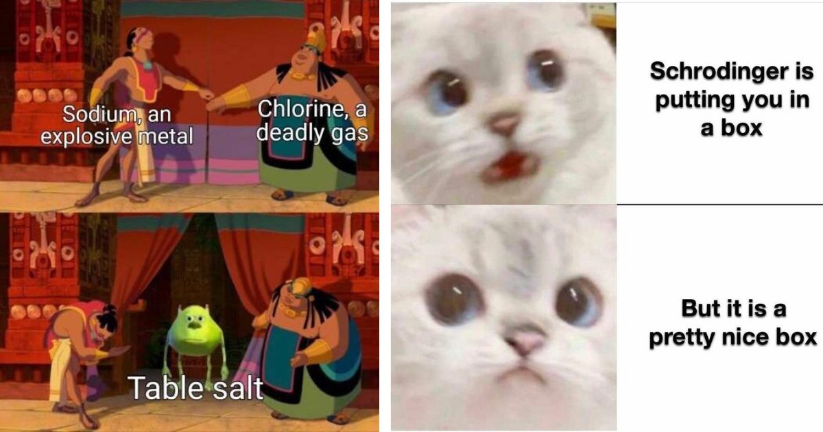 Funny Science Memes For Kids