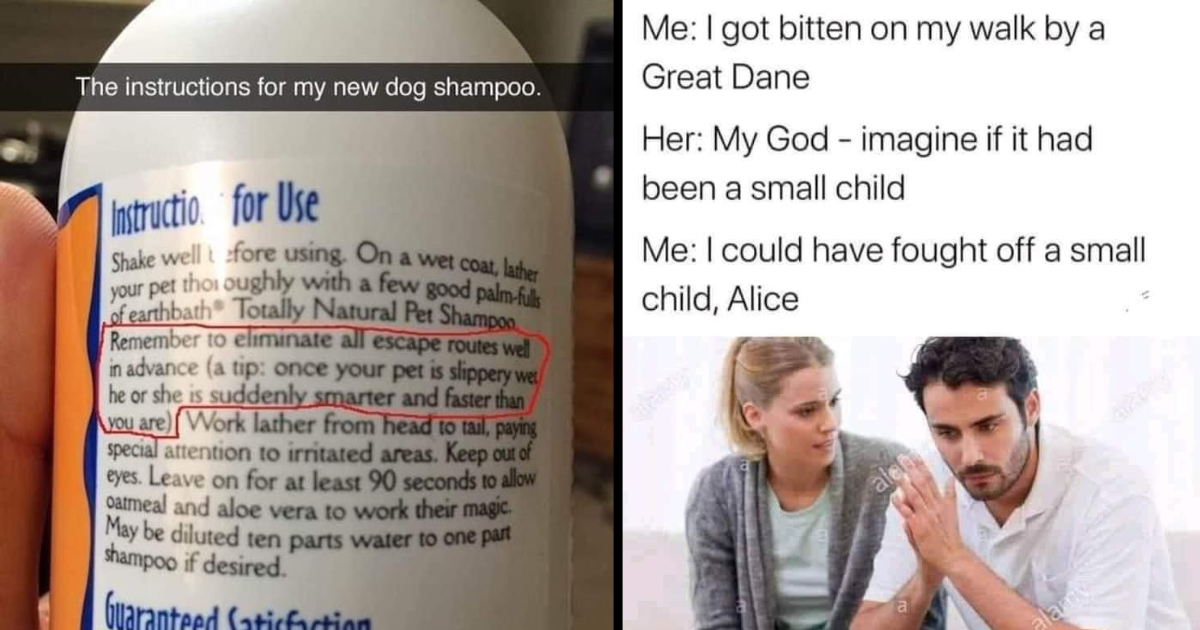 35+ Funniest Animal Memes For Some Hilarious Hullabaloo And Memery On ...