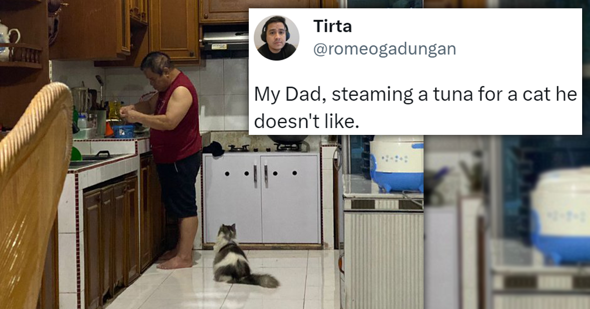 Cat Medley: The Cutest, Funniest And Most Catalicious Posts Of The Week ...