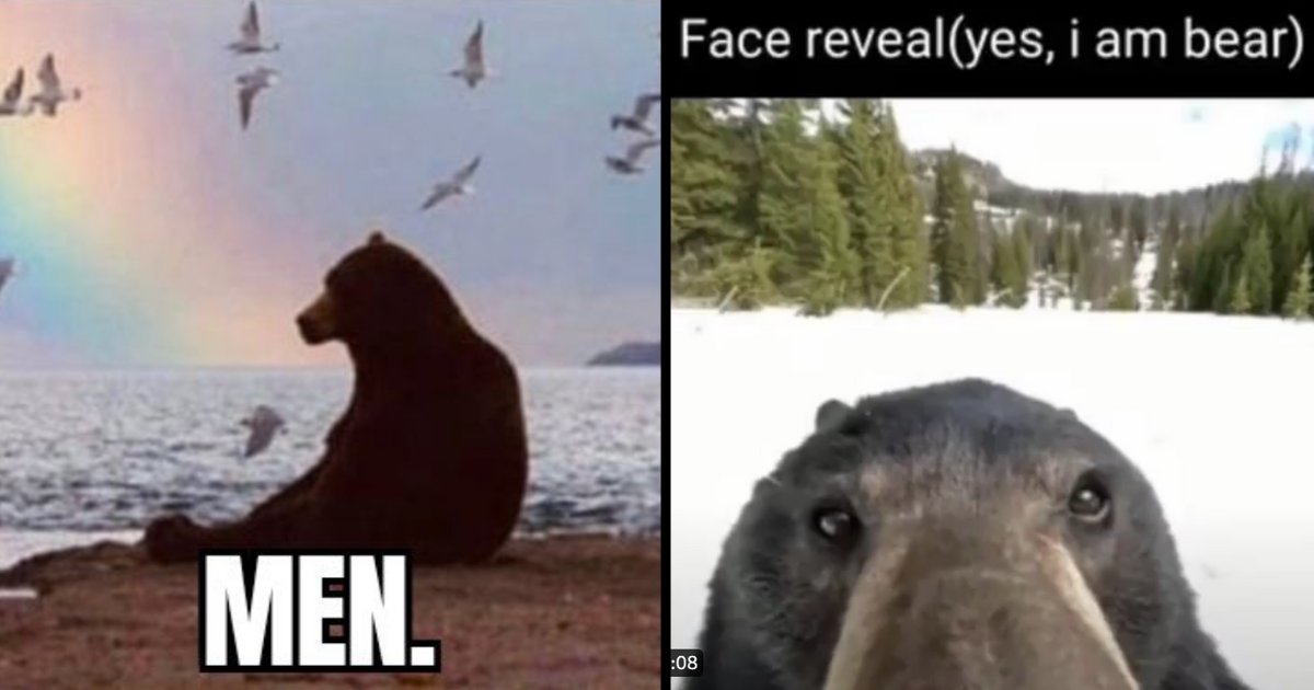20 Un-bear-ably Funny Bear Memes, Pics, And Tweets For A Bear-y Good Work Week - Animal Comedy ...