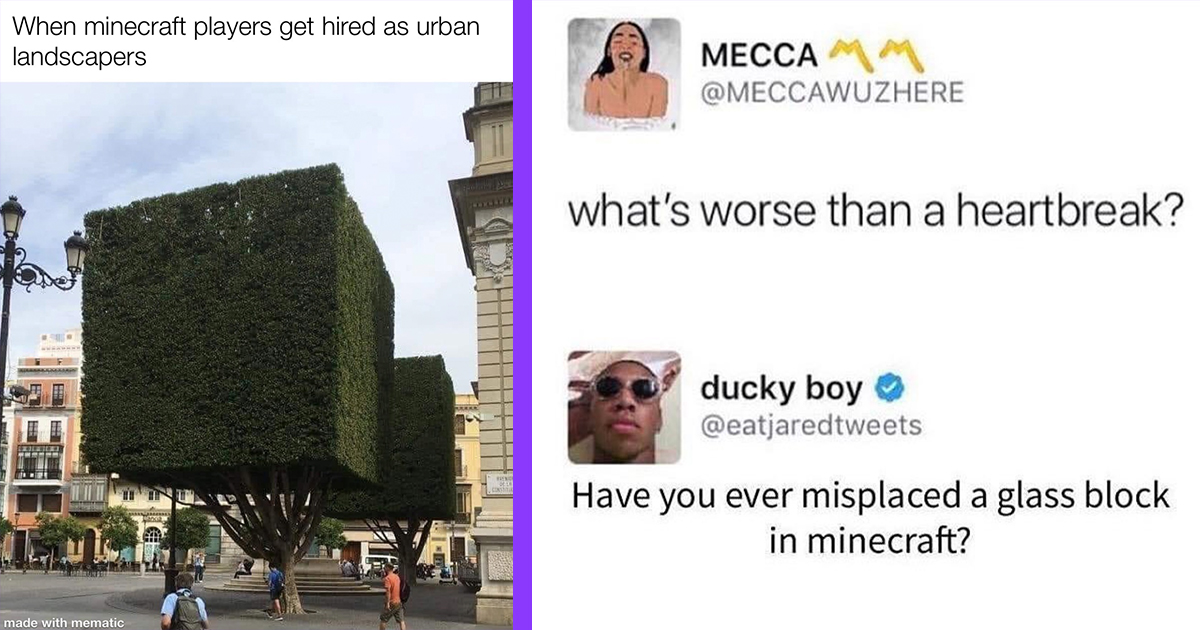 Minecraft Landsbyboer Memes