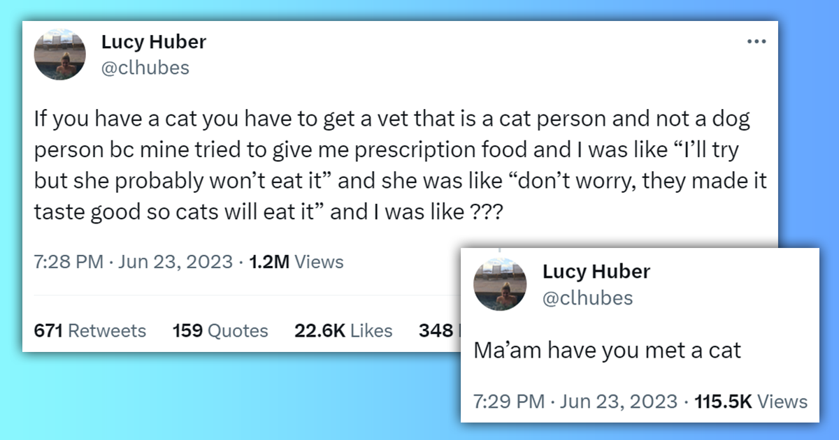 Person Recommends Going To Cat-Only Vets, Other Twitter Users Recount ...