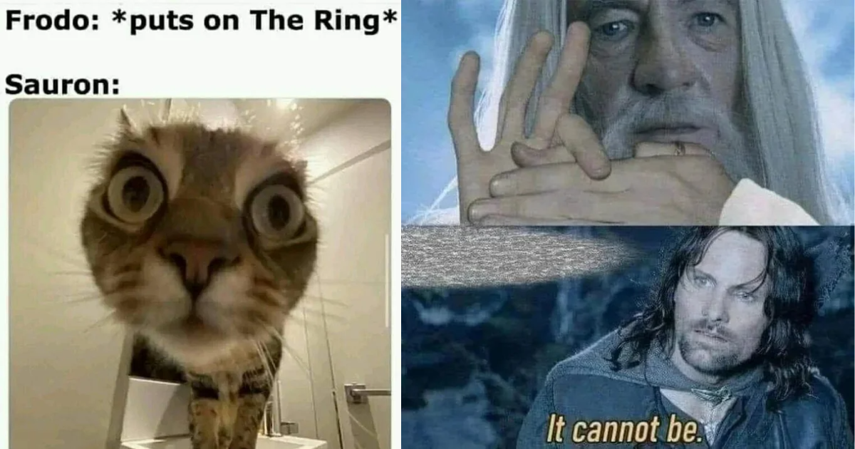 The Fellowship of The Memes: 30 Lord of the Rings Memes Worth Going to ...