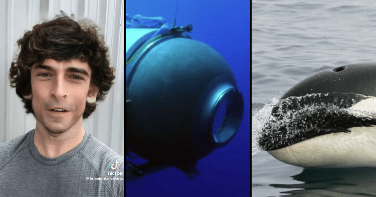 Weekly Internet Roundup: The Titanic Submarine Implosion, Musk Vs. Zuck ...