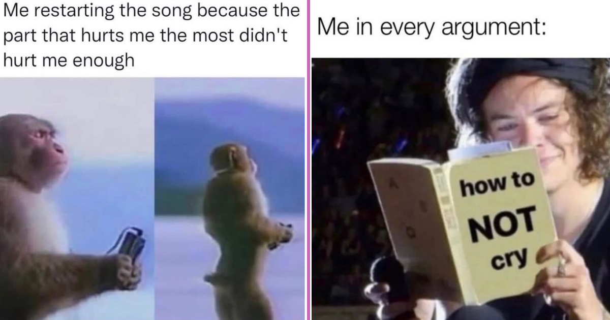 23 Memes for Sensitive Women Who Embrace Deep Emotions and Genuine ...