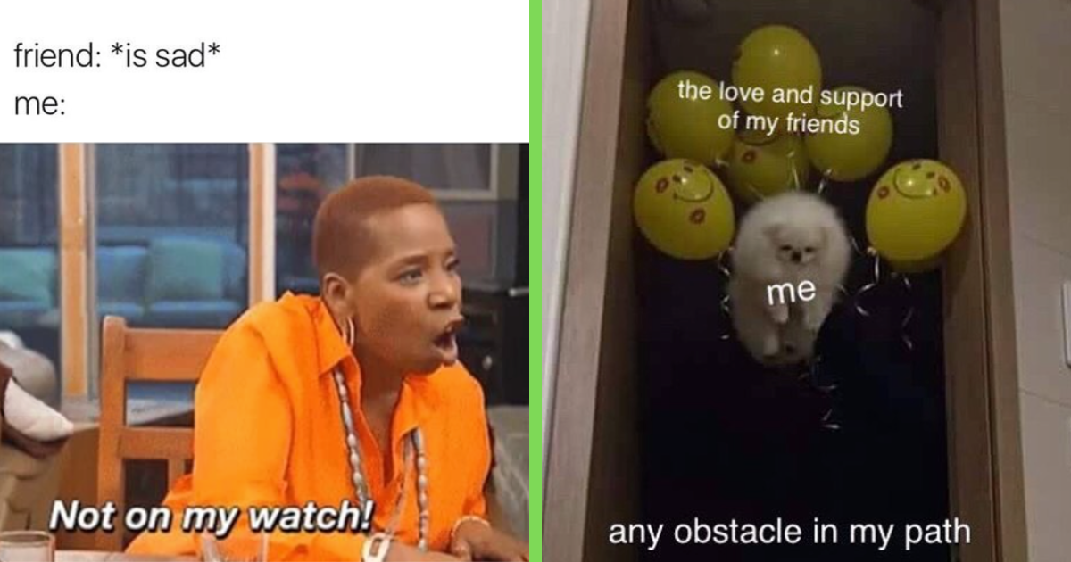 Friendship Support Memes