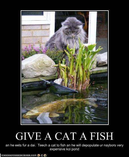 GIVE A CAT A FISH - Cheezburger - Funny Memes | Funny Pictures