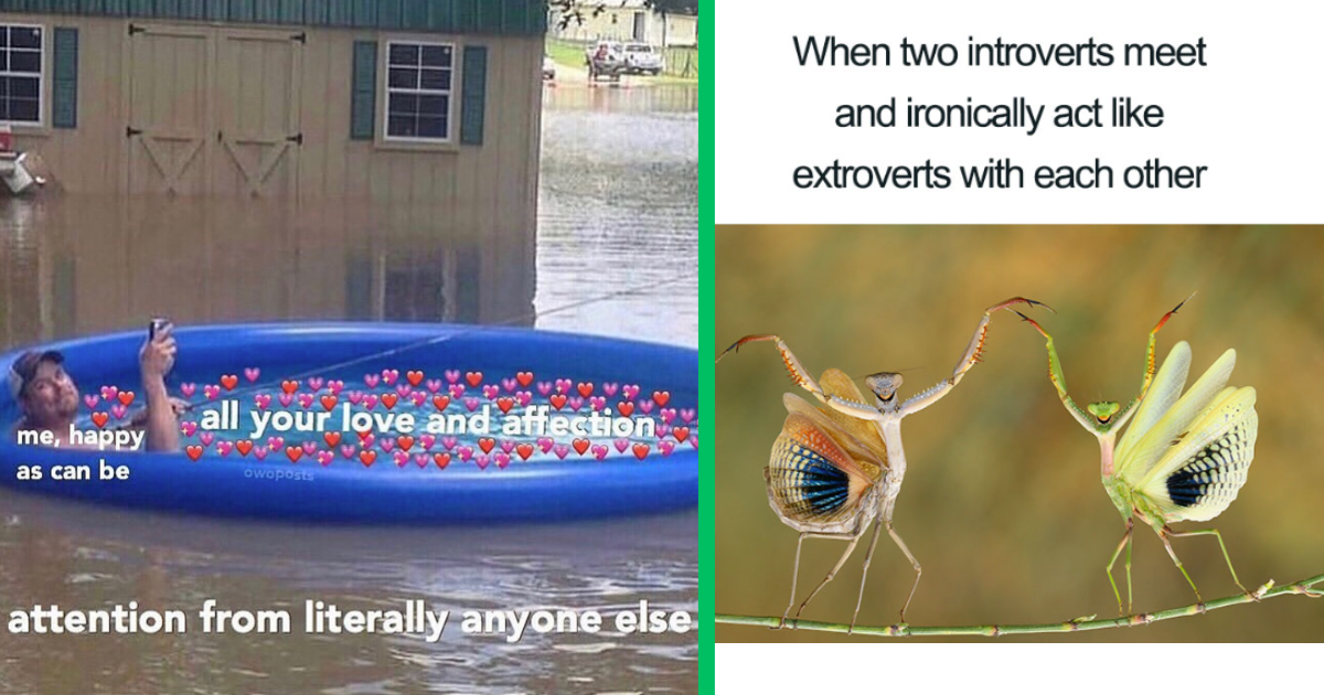 Heartwarming Memes for Introverted Souls Who Found Their Perfect ...