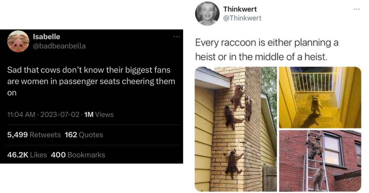 16 Hilarious Animal Tweets That Prove Tweets Aren't Just For Aviators ...