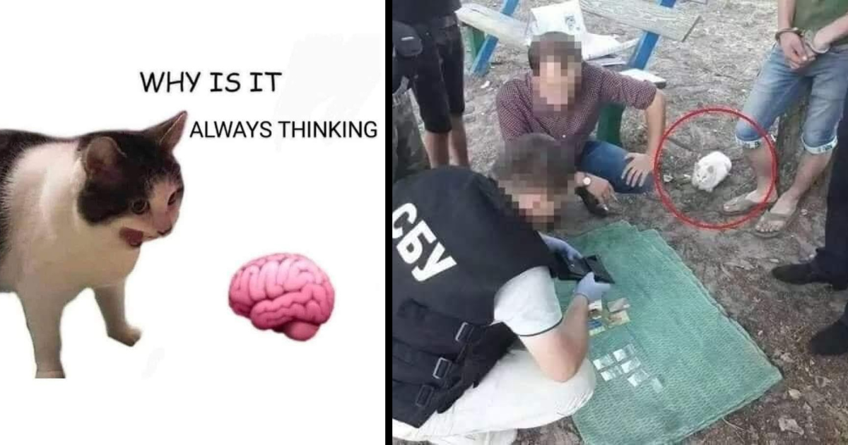 34 Extremely Normal Cat Memes For Extremely Normal People - I Can Has ...