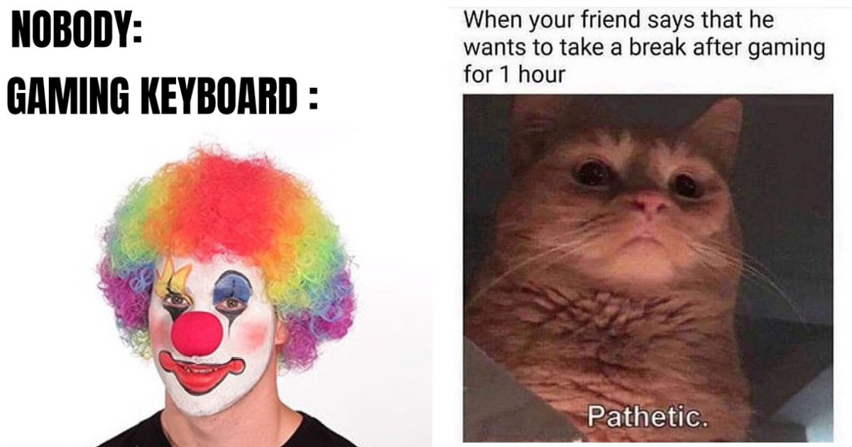 Unlocking Levity: 33 Gaming Memes for a Bonus Round of Belly Laughs ...