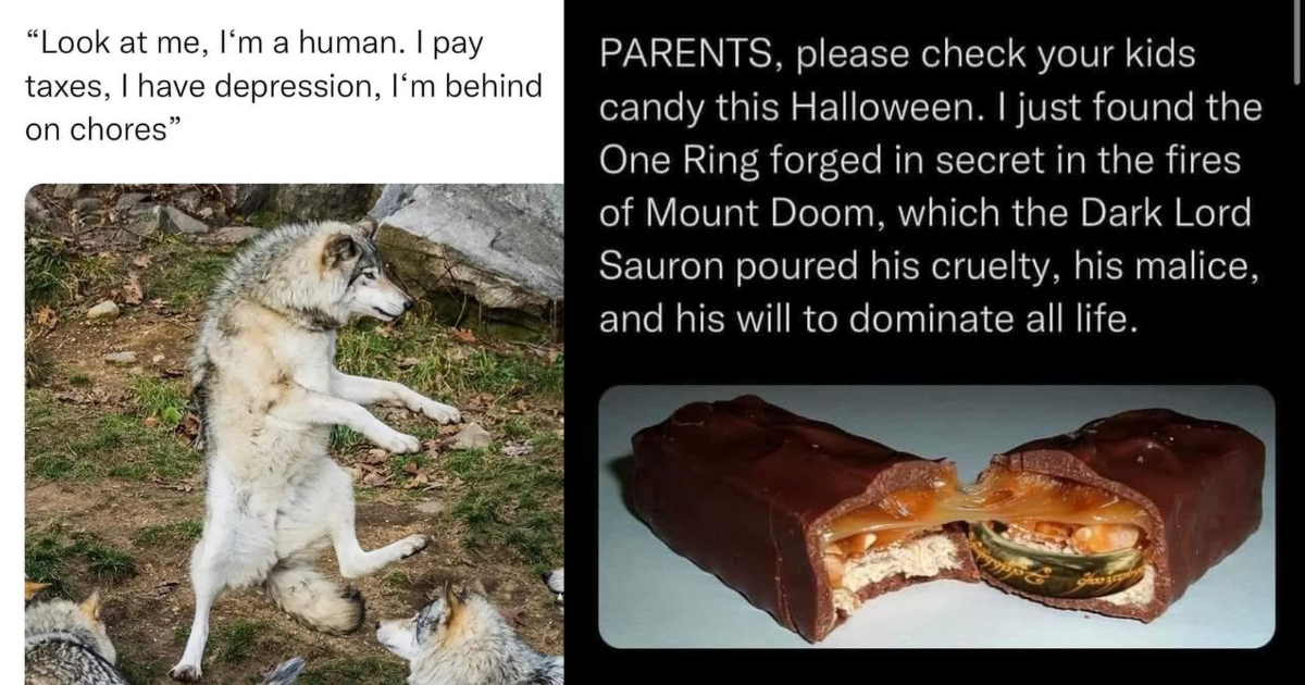 A Gobbet of Memes for Giddy Meme Lovers - Memebase - Funny Memes