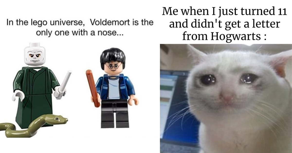 Potions, Pranks, and Patronuses: 33 Harry Potter Memes to Wingardium ...