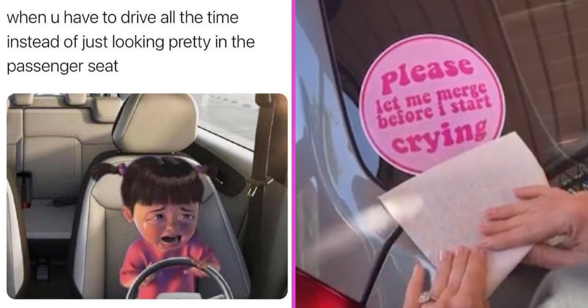 24 Memes for Passenger Princesses Who Loathe Driving - CheezCake ...