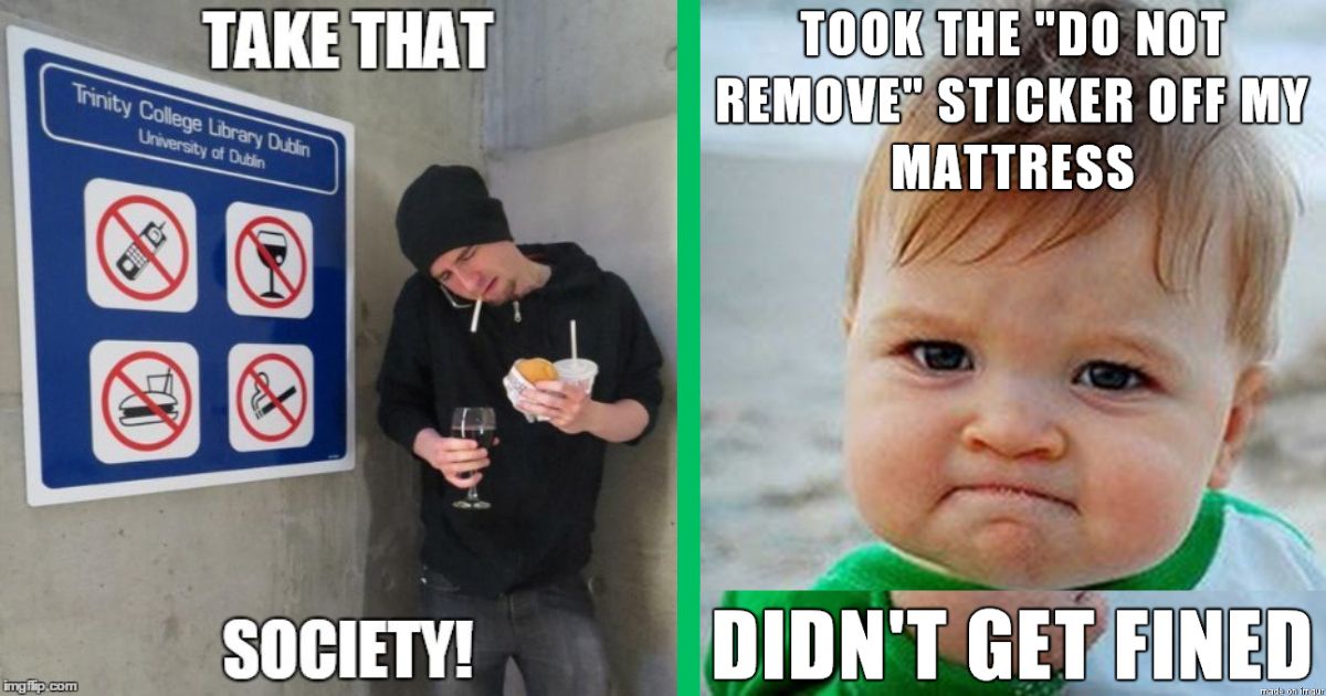 25 Hilarious Memes For Rebels Who Are Sick of Listening to Authority ...