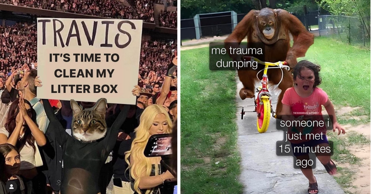 31 Absurd Animal Memes That 100% Pass The Vibe Check This Week (July 12 ...