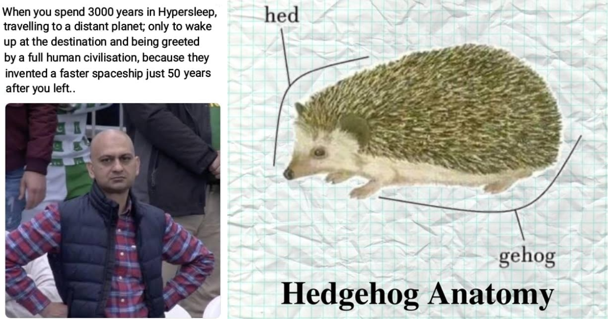 E=MC2 (Exhilaration Equals Memes Coupled with Chuckles): 31 Science ...